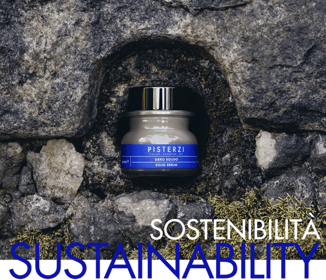 SUSTAINABILITY – PISTERZI - USA